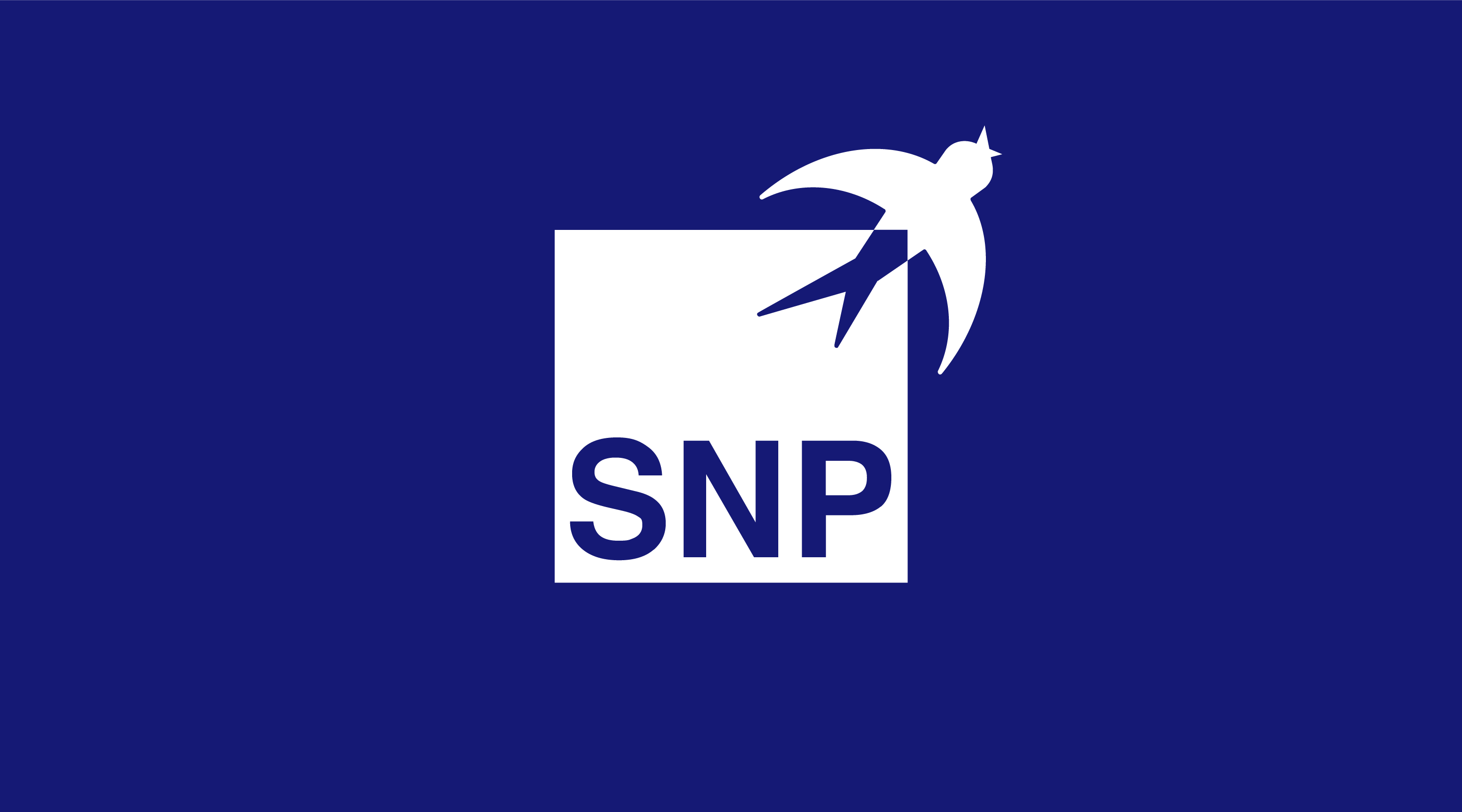 SNP Group | DATA. TRANSFORMATION. EXPERIENCE.