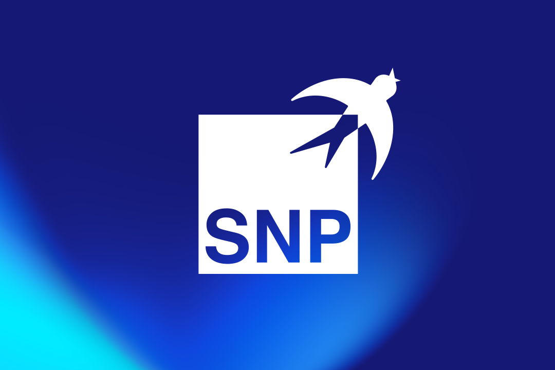 SNP Group | DATA. TRANSFORMATION. EXPERIENCE.